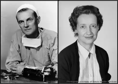 Henry Molaison. El caso H.M. en 2023 » SimpleMente Ciencia